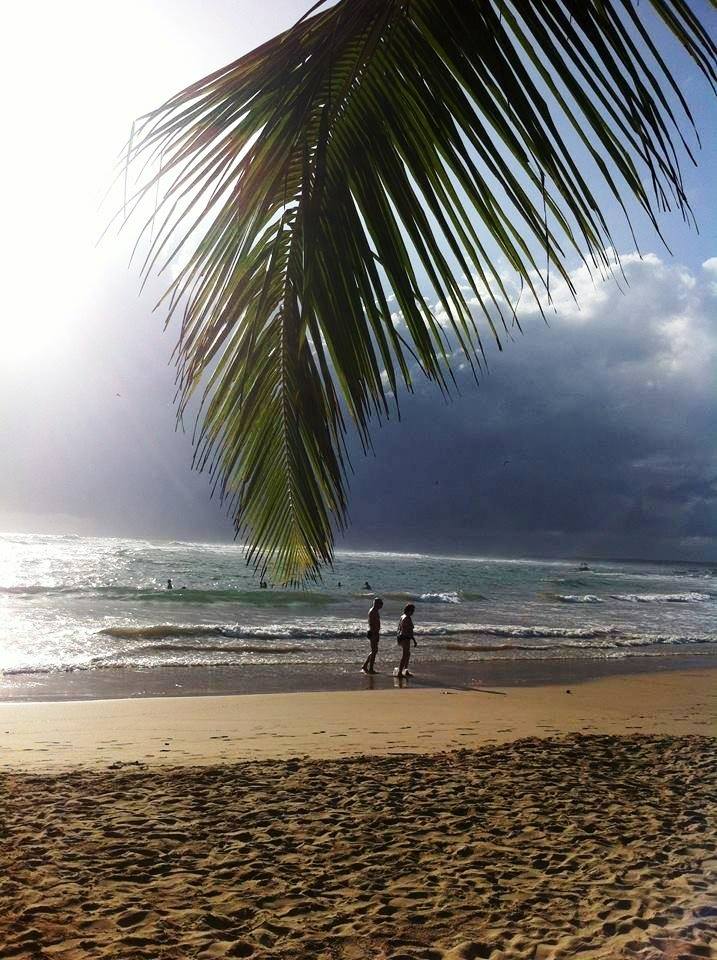 Hihhaduwa beach tour guide sri lanka (46) – Sri Lanka Island Tours